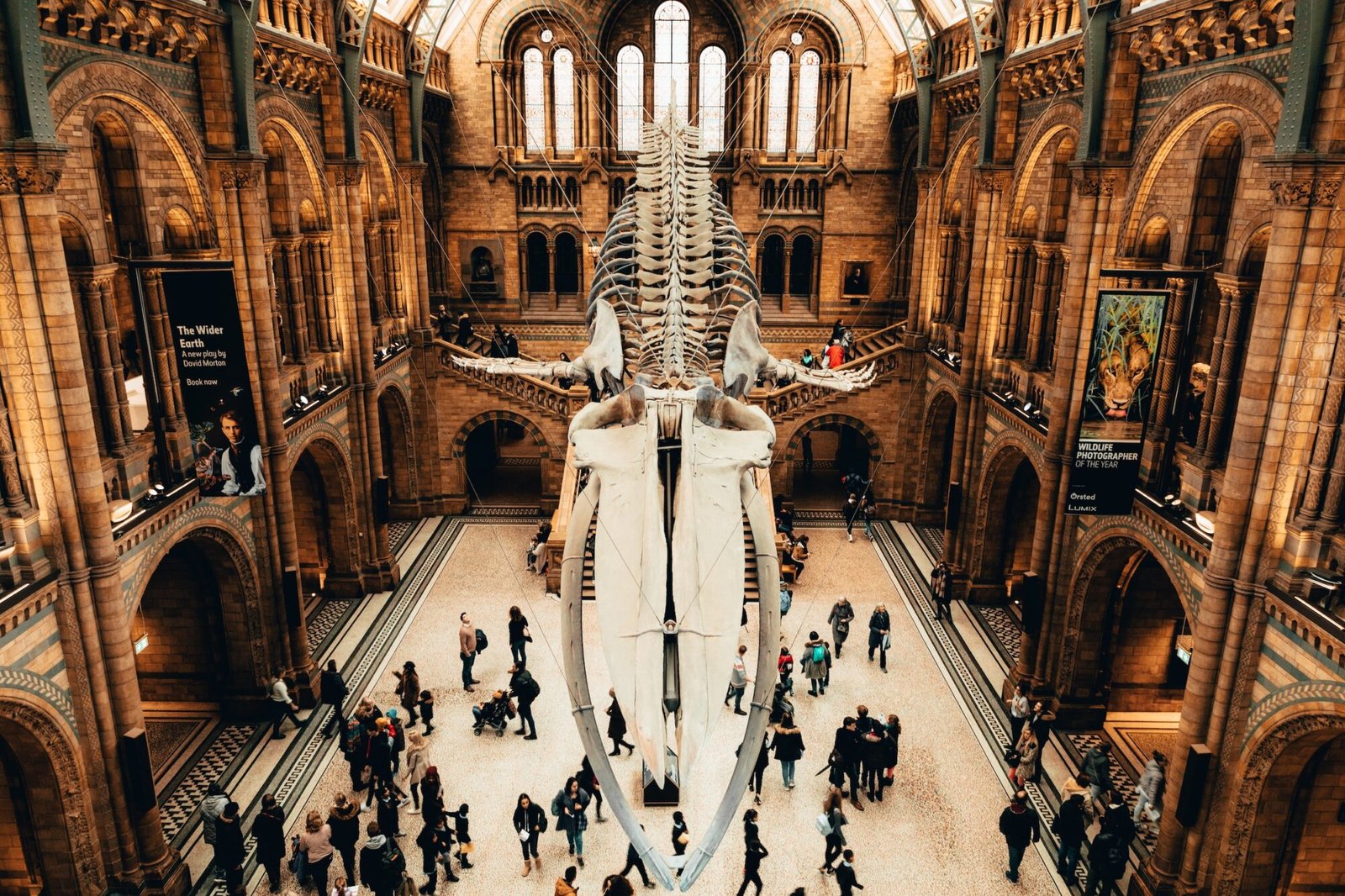 Best Museums In London: Must-Visit Museums & Galleries!